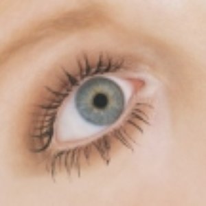 LYNN EYE MEDICAL GROUP - Updated October 2025 - 19 Photos & 215 Reviews ...