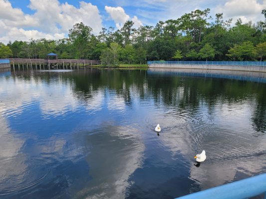 BITHLO PARK - Updated October 2025 - 17 Photos & 12 Reviews - 18501 ...