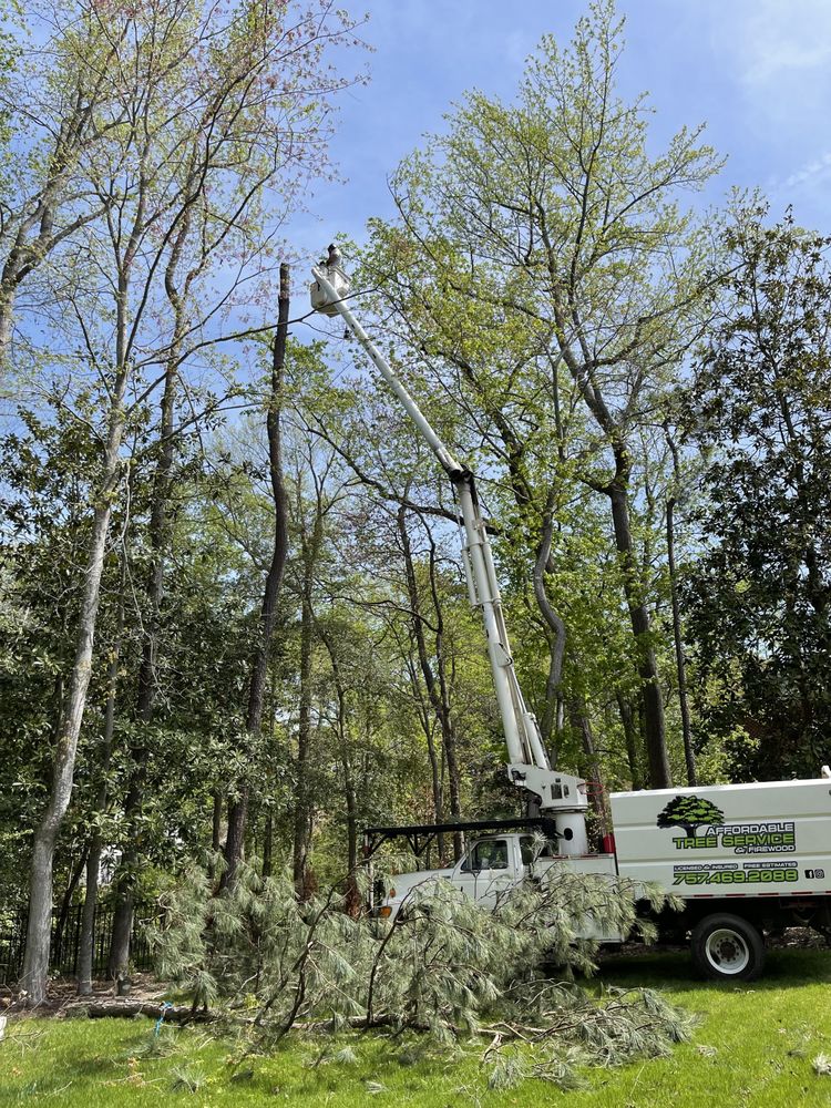 AFFORDABLE TREE SERVICE & FIREWOOD - Updated June 2025 - 18 Photos ...