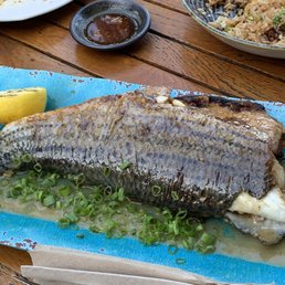 BASHI - Updated October 2025 - 845 Photos - 363 Reviews - 100 Terranea ...