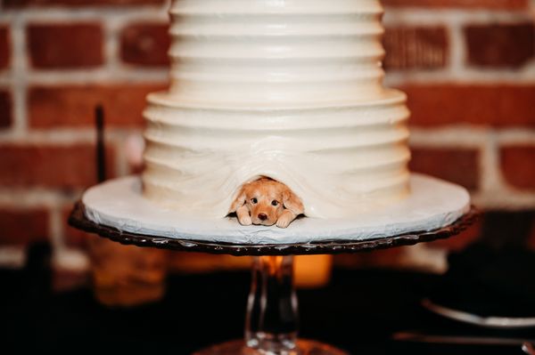 MIKE’S AMAZING CAKES - Updated October 2025 - 66 Photos & 103 Reviews ...