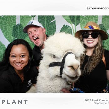 THE DINGLE FAMILY FARM AND STABLES - Updated October 2025 - 555 Photos ...