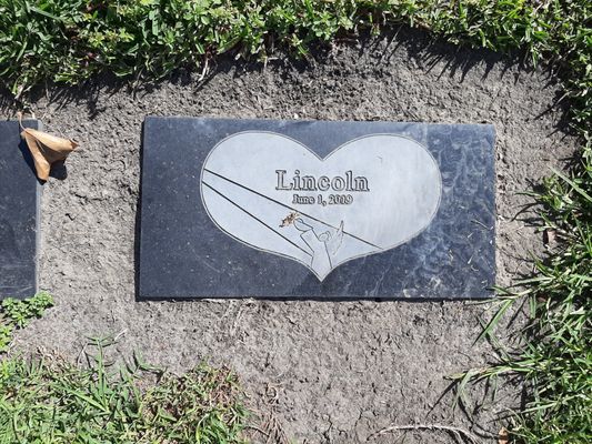 EL TORO MEMORIAL PARK - Updated June 2024 - 86 Photos & 26 Reviews ...