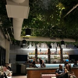 CATBIRD - Updated August 2025 - 675 Photos & 379 Reviews - 1401 Elm St ...