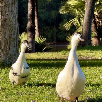 FAIRMOUNT PARK - Updated June 2024 - 540 Photos & 135 Reviews - 2241 ...