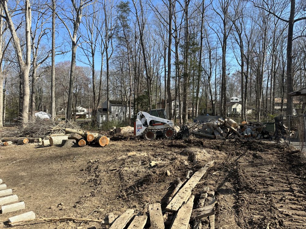 D&E TREE SERVICE & LANDSCAPING - Updated September 2025 - Spotsylvania ...