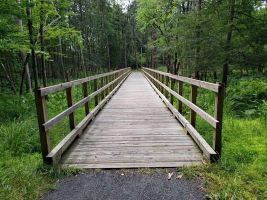 BACK MOUNTAIN TRAIL - Updated October 2025 - 105 Lt Michael Cleary Dr ...