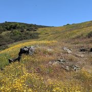 EDGEWOOD PARK & NATURAL PRESERVE - 596 Photos & 152 Reviews - 10 Old ...