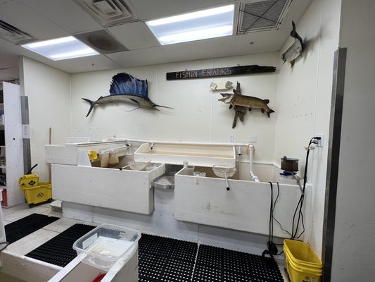 FISHIN FRANKS - Updated January 2026 - 49 Photos & 22 Reviews - 4200 ...