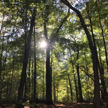 DEEP RIVER COUNTY PARK - Updated September 2025 - 23 Photos & 16 ...