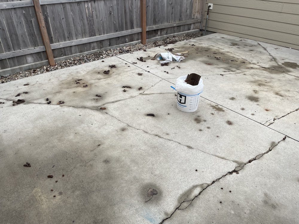 MARIO’S POOP REMOVAL - Williston, North Dakota - Pet Waste Removal ...