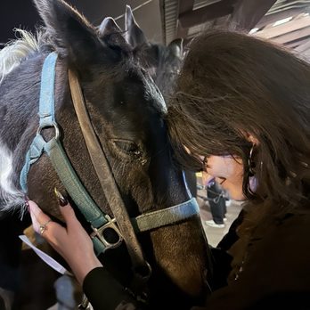 PONDEROSA STABLES - Updated October 2025 - 337 Photos & 236 Reviews ...