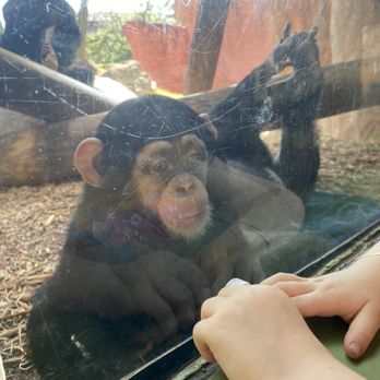 OKLAHOMA CITY ZOO - Updated December 2024 - 1143 Photos & 294 Reviews ...