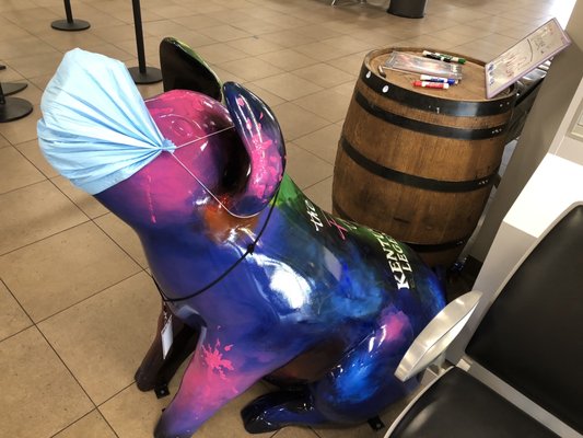 OWENSBORO-DAVIESS COUNTY REGIONAL AIRPORT - Updated October 2025 - 13 ...