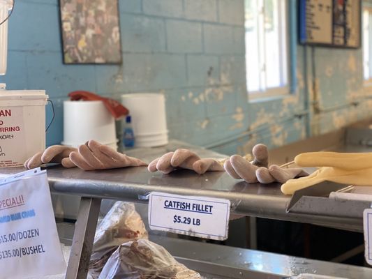 MURRAY L. NIXON FISHERY - Updated January 2026 - 1141 Nixon Fishery Rd ...