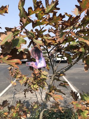 HARDEN RANCH PLAZA - Updated October 2024 - 13 Photos - 1560 N Main St ...