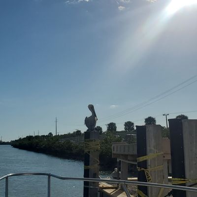 COLLIER BOAT RAMP - Updated February 2025 - 1295 Capri Blvd, Naples ...