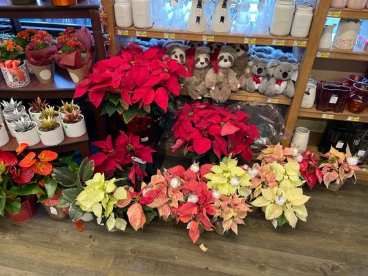 VONS - Updated October 2025 - 75 Photos & 66 Reviews - 1125 Maricopa ...