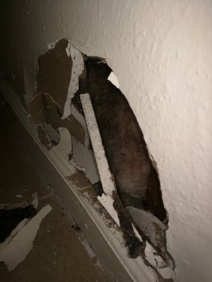 STARR PROPERTY MANAGEMENT - Updated January 2026 - 38 Photos & 177 ...