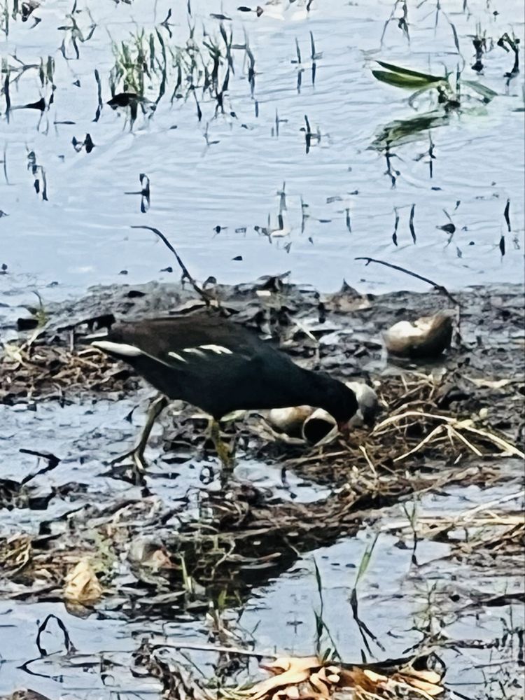 SAMUEL J. FERRERI COMMUNITY PARK - Updated August 2025 - 70 Photos ...