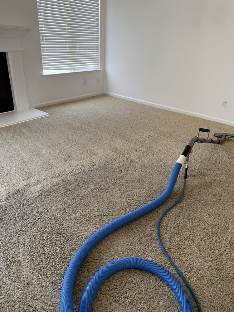 TRUE CLEAN CARPET CLEANING - Updated August 2025 - 20 Photos & 15 ...