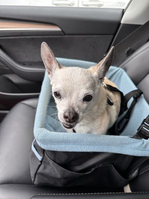 SANTA BARBARA HUMANE - Updated October 2025 - 55 Photos & 47 Reviews ...