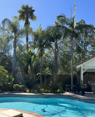 MISSION PEST CONTROL - Updated December 2025 - 112 Reviews - 9863 ...