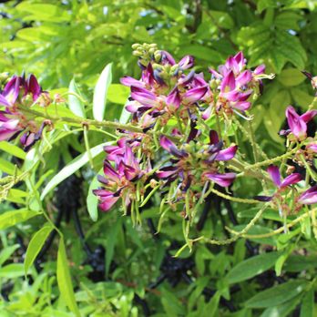 WRAGG SQUARE - Updated October 2025 - 88 Photos - 342 Meeting St ...