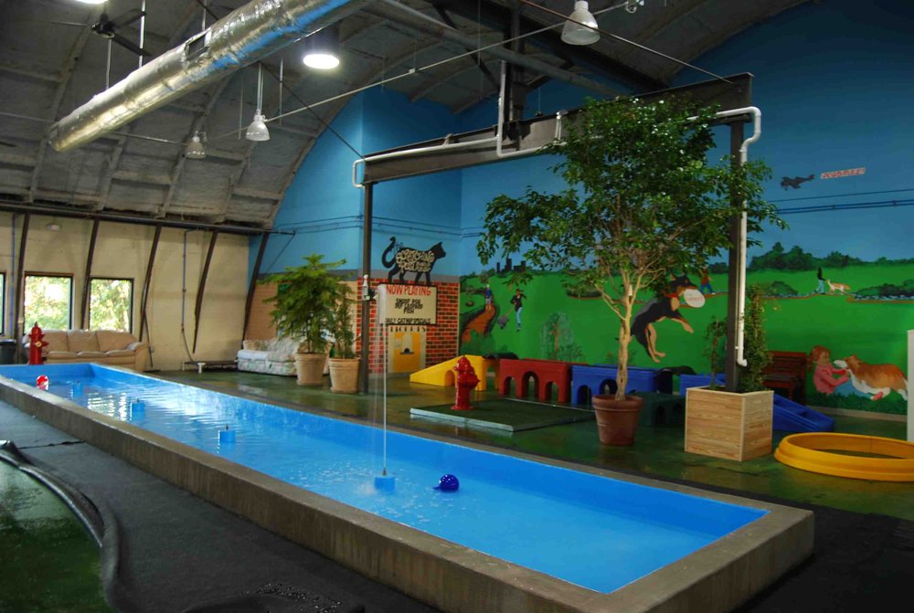 CROOTOF VETERINARY CONSULTING - Updated December 2025 - 5104 Del Mar ...