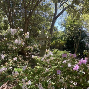 UC BOTANICAL GARDEN AT BERKELEY - Updated November 2024 - 1435 Photos ...