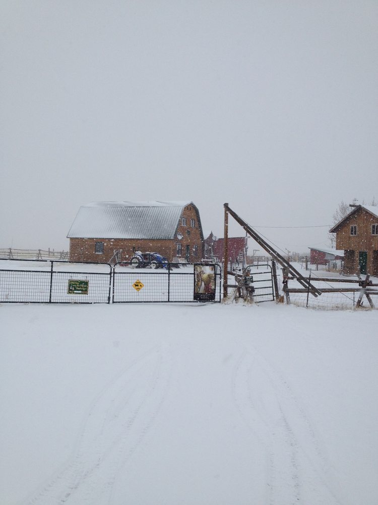 MAD DOG AND THE PILGRIM BOOKSELLERS - Updated October 2025 - 4176 ...