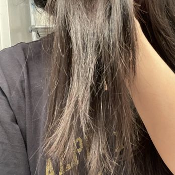 TOTO HAIR - Updated June 2024 - 569 Photos & 232 Reviews - 201 Grand St ...