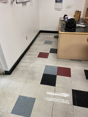 PRONTO MAINTENANCE CLEANING SYSTEMS - Updated October 2025 - 97 Photos ...