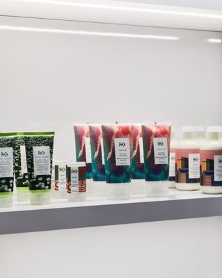 COLLECTIV ACADEMY - Updated November 2025 - 28 Photos & 10 Reviews ...