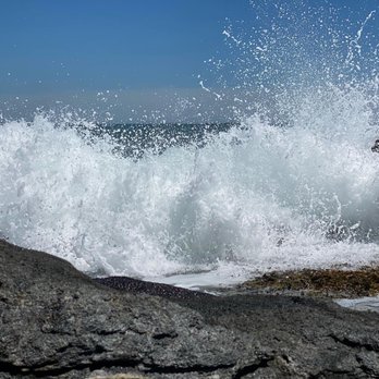 SACHUEST POINT NATIONAL WILDLIFE REFUGE - Updated June 2025 - 193 ...