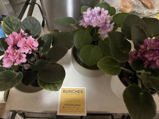 BUNCHES A FLOWER SHOP & CHICAGO FLOWER DELIVERY - Updated January 2026 ...