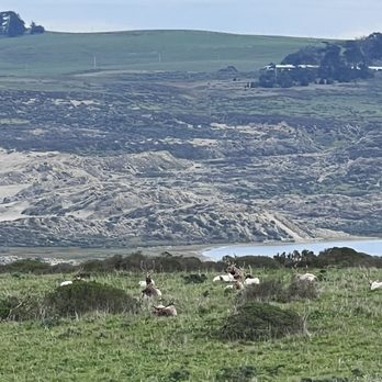 TOMALES POINT TRAIL - TULE ELK PRESERVE - Updated December 2025 - 948 ...