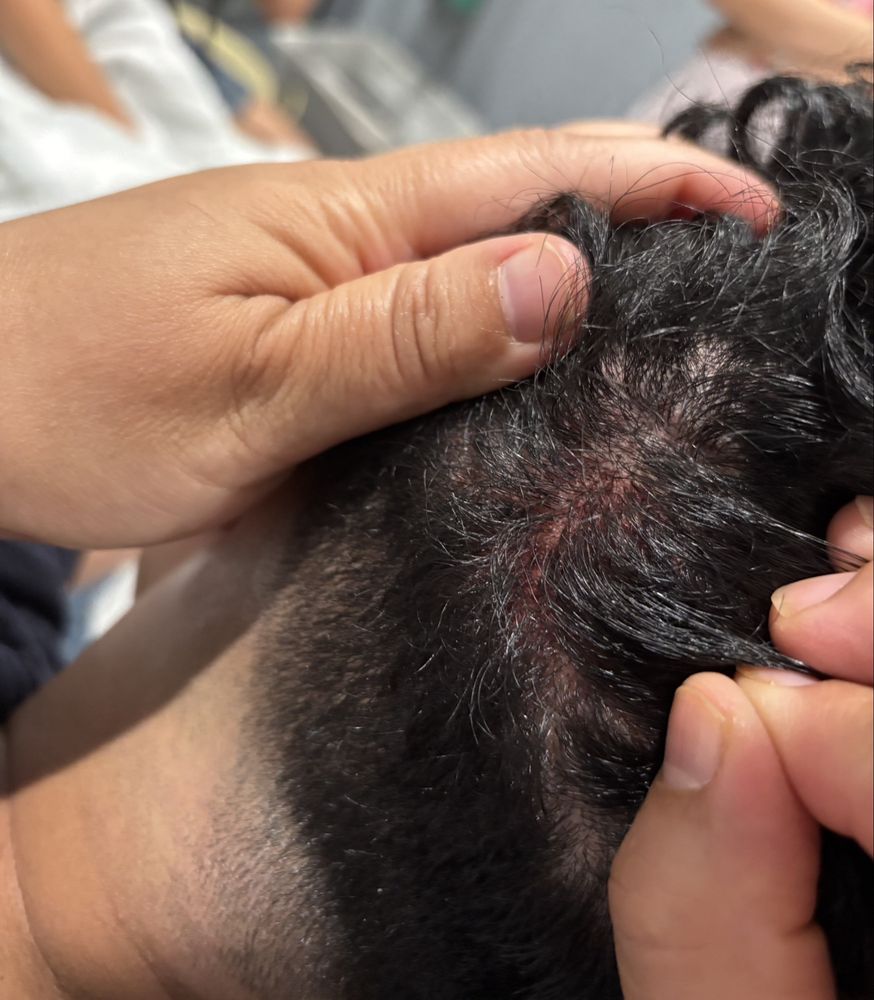 PRIVE ‘ HOUSTON - Updated January 2026 - 16 Photos - 2727 Crossview Dr ...