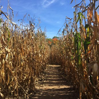 SECOR FARMS - Updated July 2025 - 238 Photos & 80 Reviews - 168 Airmont ...