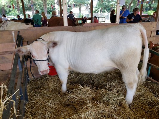 FOUR TOWN FAIR - Updated January 2026 - 56 Egypt Rd, Somers ...