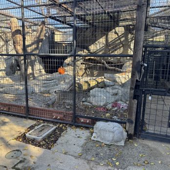THE FOLSOM CITY ZOO SANCTUARY - Updated December 2025 - 636 Photos ...