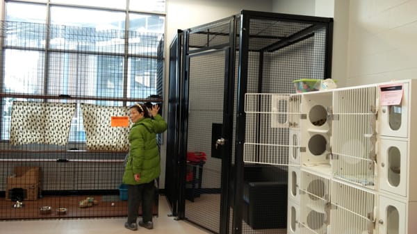 MARKHAM PUBLIC LIBRARY - THORNHILL COMMUNITY CENTRE BRANCH - Updated ...