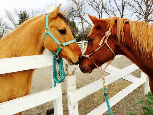GOVAN RANCH - Updated October 2025 - 10 Photos - 3505 Bell Rd, Chico ...