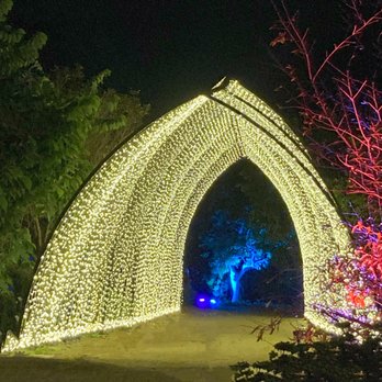 LIGHTSCAPE SAN DIEGO - Updated November 2024 - 189 Photos & 38 Reviews ...