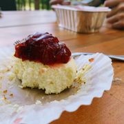 MT AIRY ORCHARDS - 83 Photos & 32 Reviews - 522 E Mount Airy Rd ...