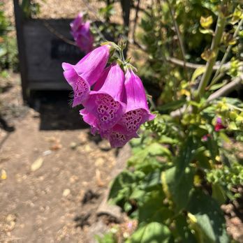 CRYSTAL BAY FARM - Updated December 2025 - 163 Photos & 78 Reviews - 40 ...