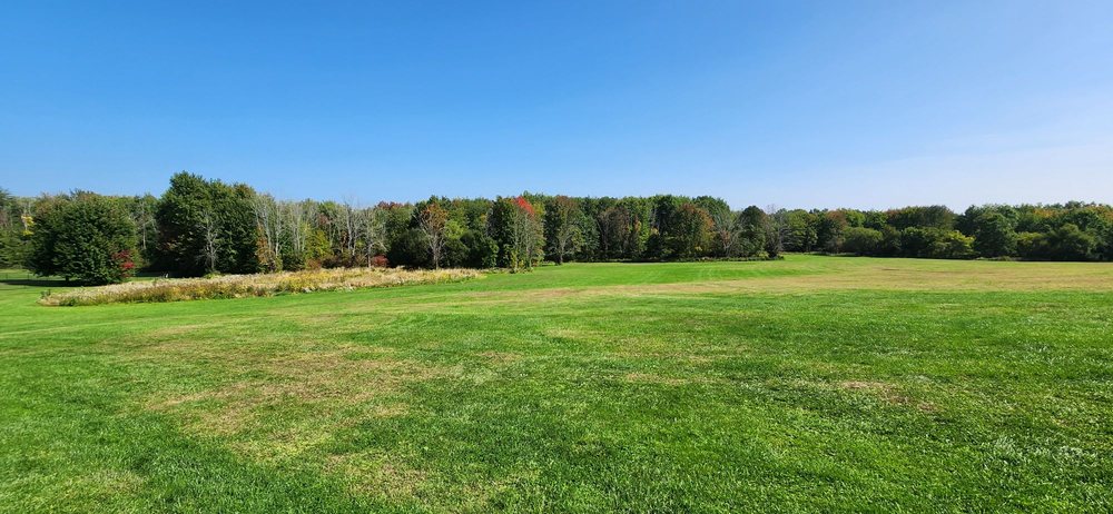 ELM RIDGE PARK - Updated December 2025 - 32 Photos & 16 Reviews - 376 ...