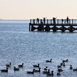 TANNER PARK - 182 Photos & 25 Reviews - Parks - Tanner Park, Copiague ...