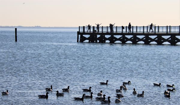 TANNER PARK - Updated November 2024 - 292 Photos & 35 Reviews - Tanner ...