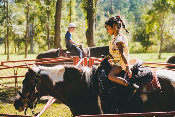 DIAMOND D RANCH - Updated December 2025 - 64 Photos & 22 Reviews - 5903 ...